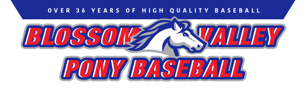 Blossom Valley Pony Baseball