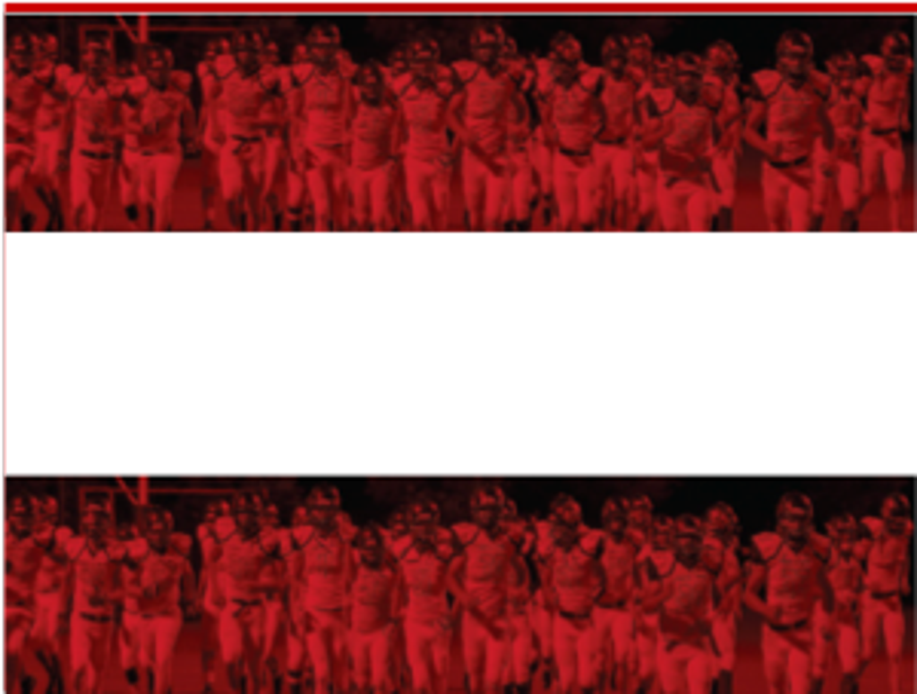 Castle View Sabercats Football