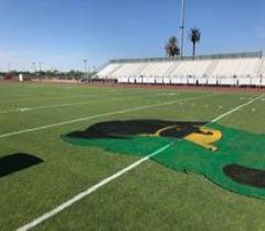 Basha Bears Football Official Website
