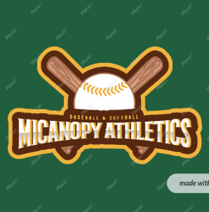 Micanopy Athletics Association