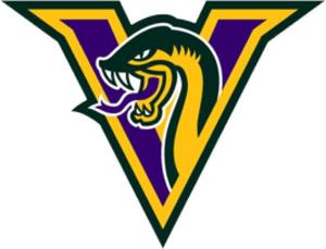 Vipers Baseball Club