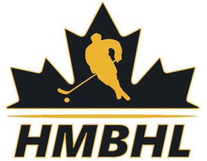 Hamilton Minor Ball Hockey League