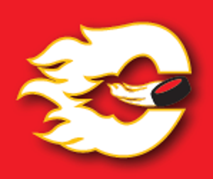 California Heat Hockey