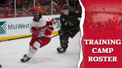 Player Profile: Reggie Millette | Dubuque's Super Hits 106 - KIYX ...