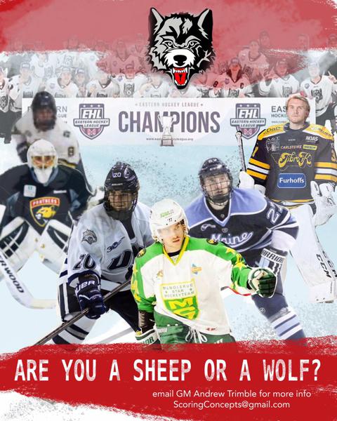 The New England Wolves Program