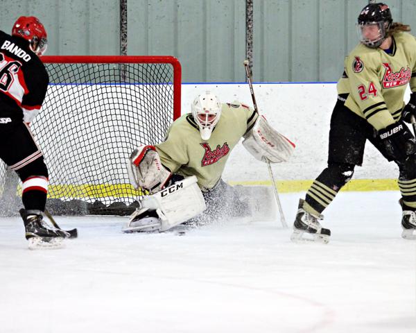 New Jersey Rockets (ice hockey) - Alchetron, the free social encyclopedia