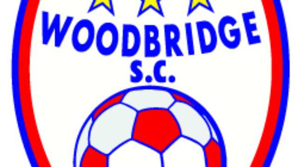 Former Canadian WNT Staff Named as Head Coaches of Woodbridge Strikers ...