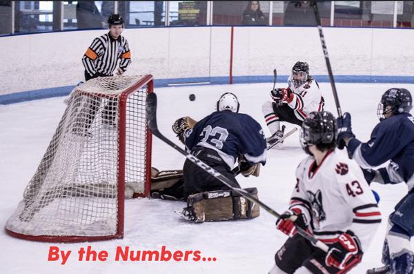 Wolves Full Season Team Review 2019-20