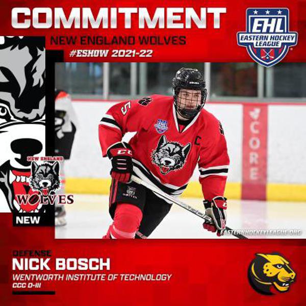 Nick Bosch commits to Wentworth