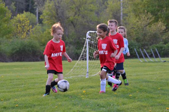 Palmer Soccer Association