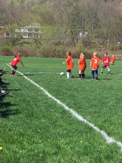 Palmer Soccer Association