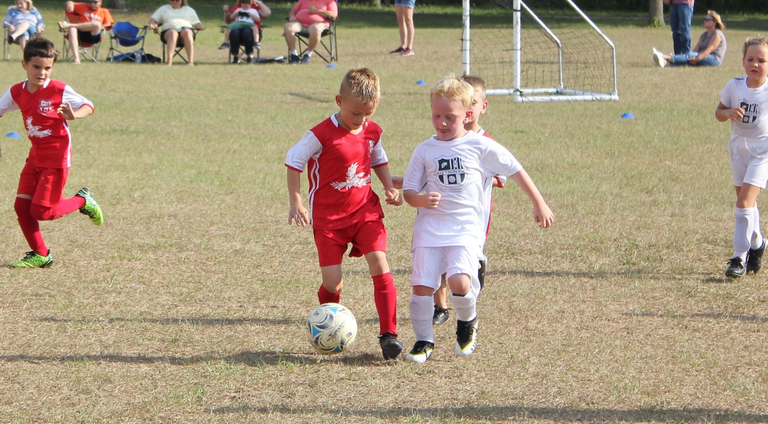 Stetson Futbol Association