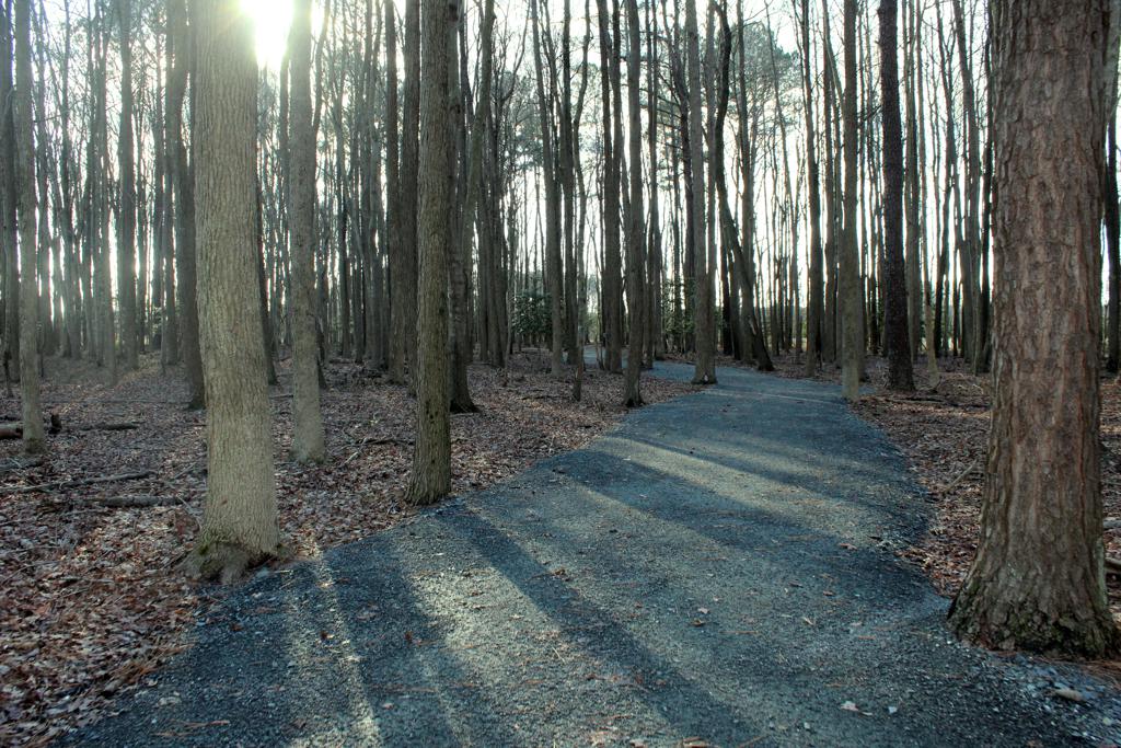 | Photos | Sandhill Fields