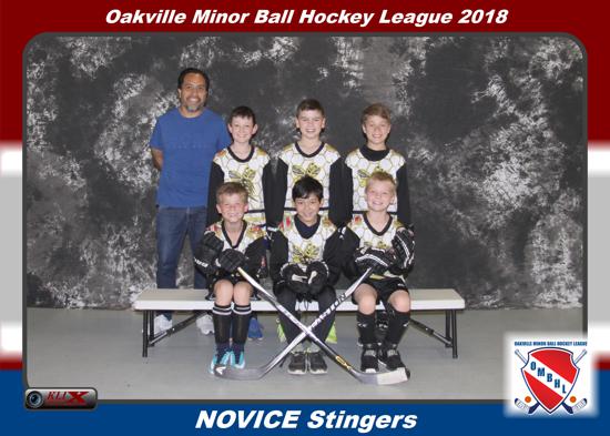 Oakville Minor Ball Hockey League