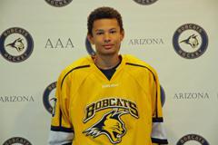 Valley of the Sun Hockey Association