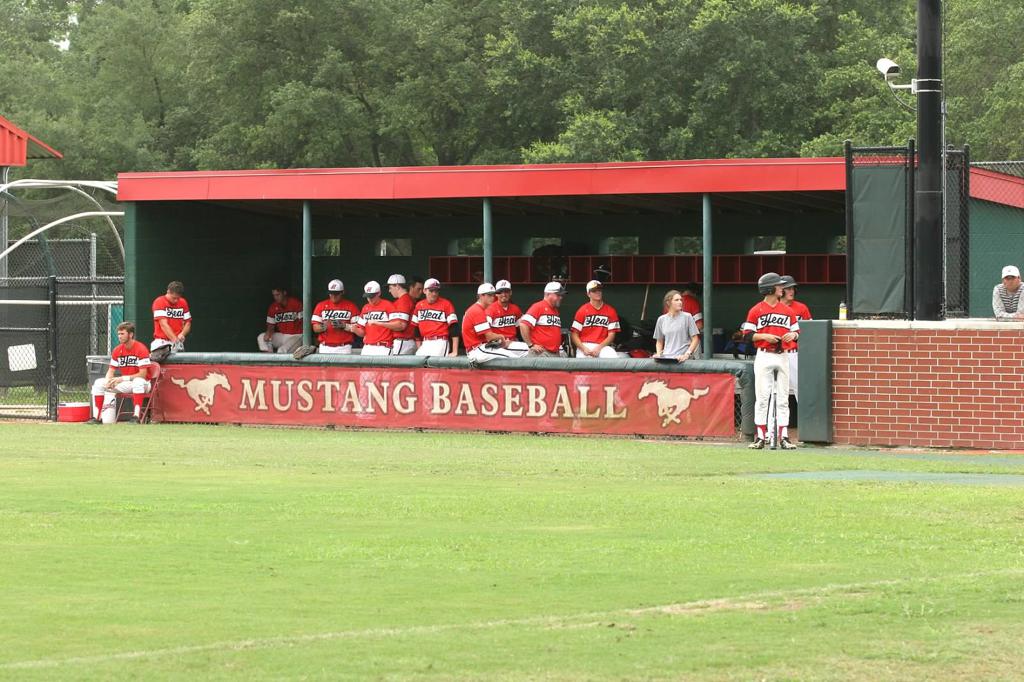 Summer 2015 Season | Photos | Houston Heat Baseball