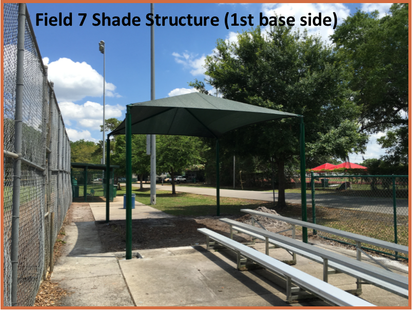 Winter Park Babe Ruth