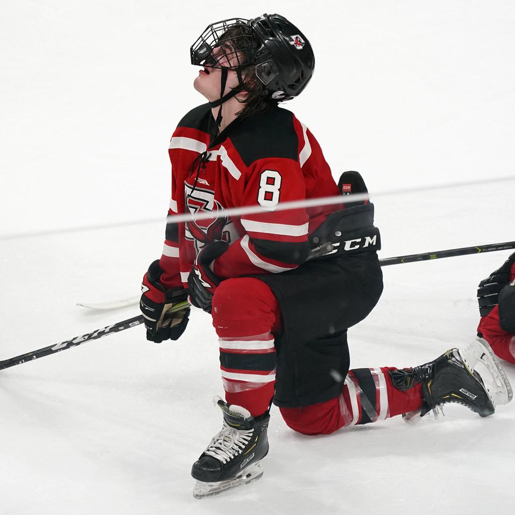 2019 MSHSL State Hockey Tournement