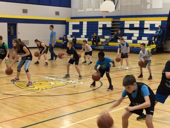 Pelham Panthers Basketball Association