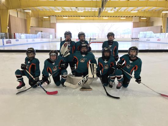 New Mexico Ice Hockey