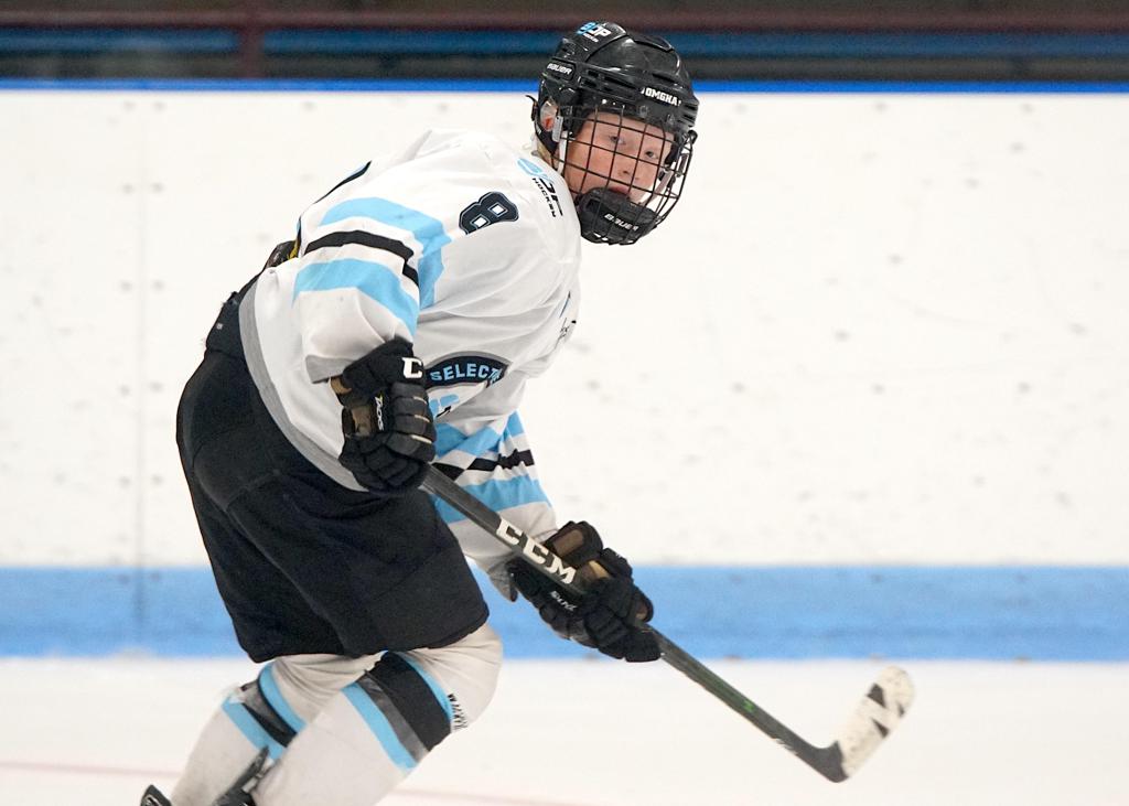 2020 AAA State All-Tournament Team