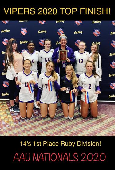 Vipers Volleyball Club