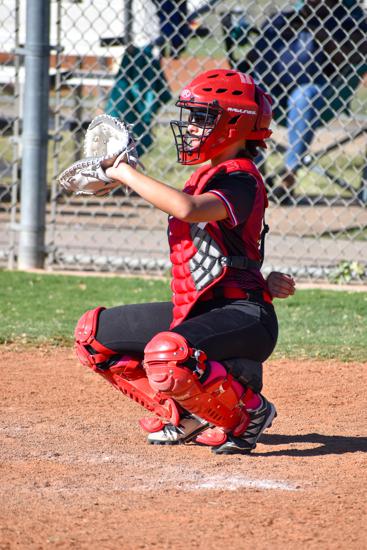 The Colony Softball Association