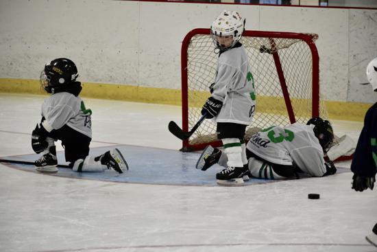 Rosemount Area Hockey Association