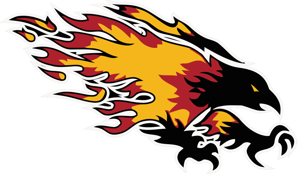 Firebirds Logo