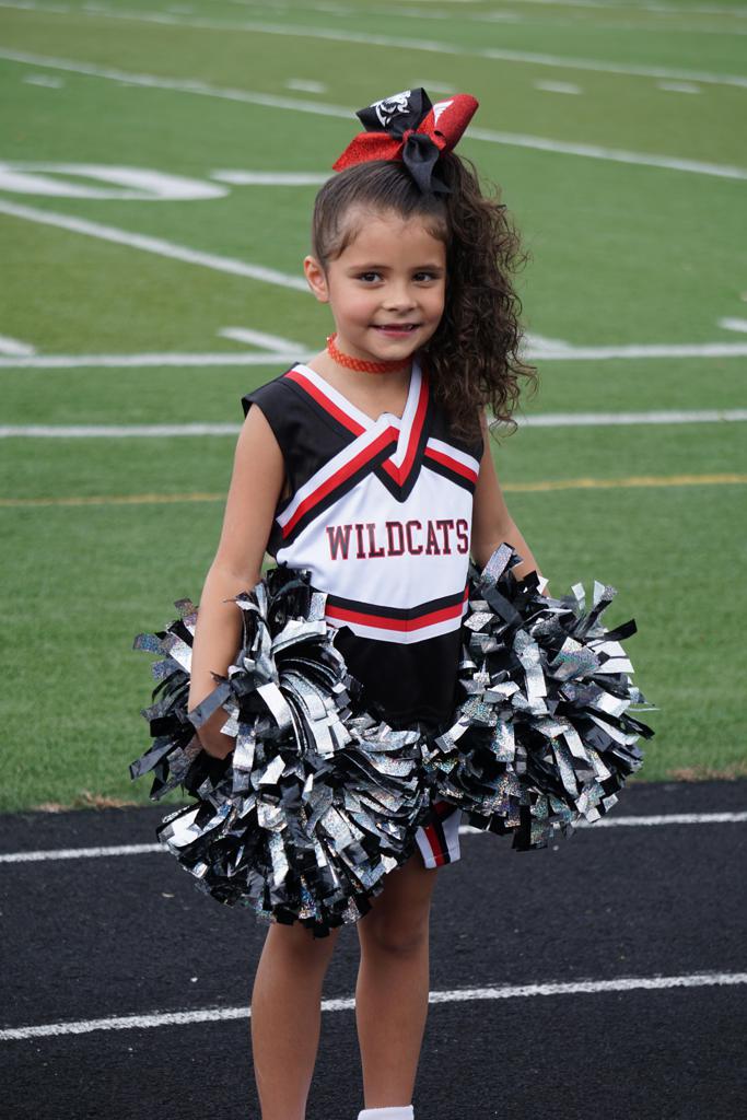 Delaware Football League