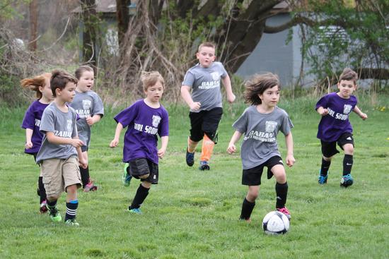 Palmer Soccer Association