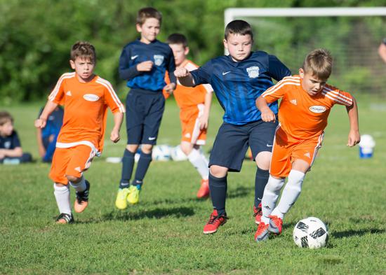 Palmer Soccer Association