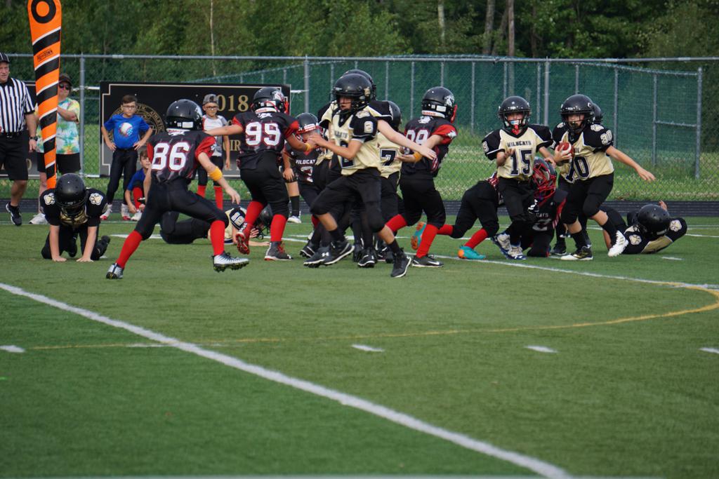 Delaware Football League