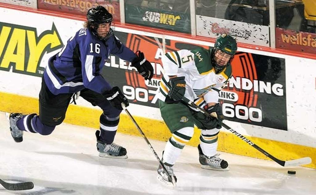 Brookings Ice Skating Association