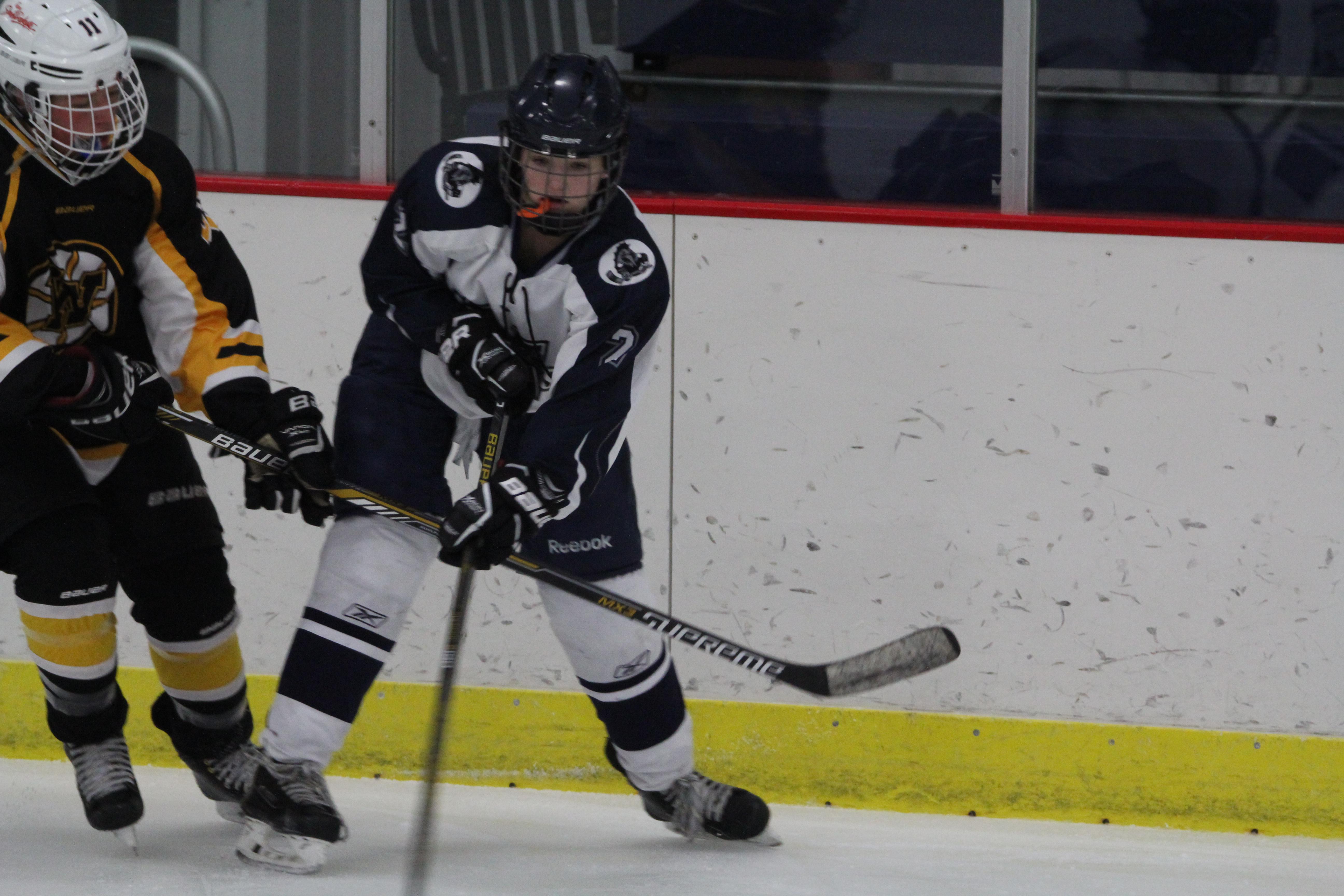 Mitchell Skating and Hockey Association