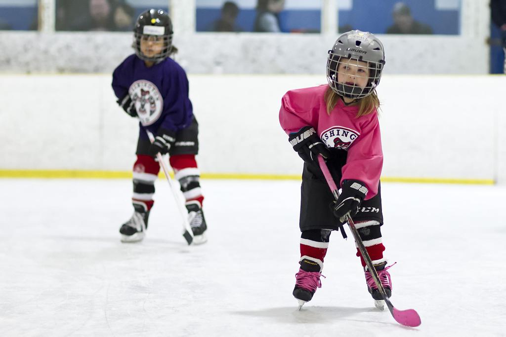 WWFHA's Try Hockey Events and Learn to Play Classes