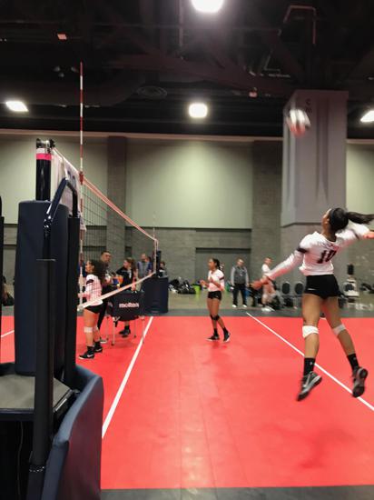 Pinnacle Volleyball Academy