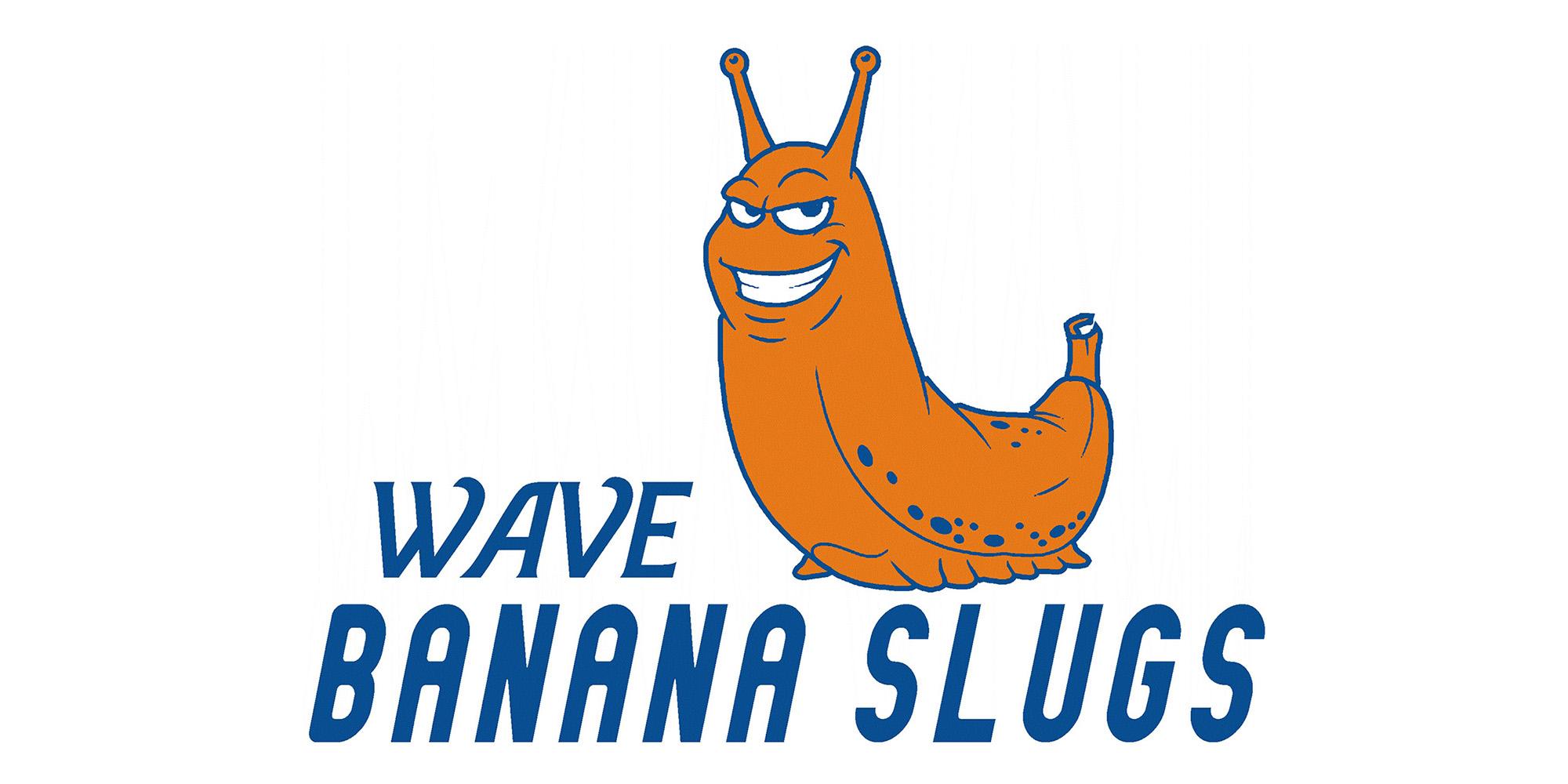 Wave Volleyball Club