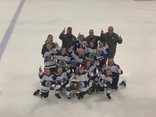 Rogers Youth Hockey Association