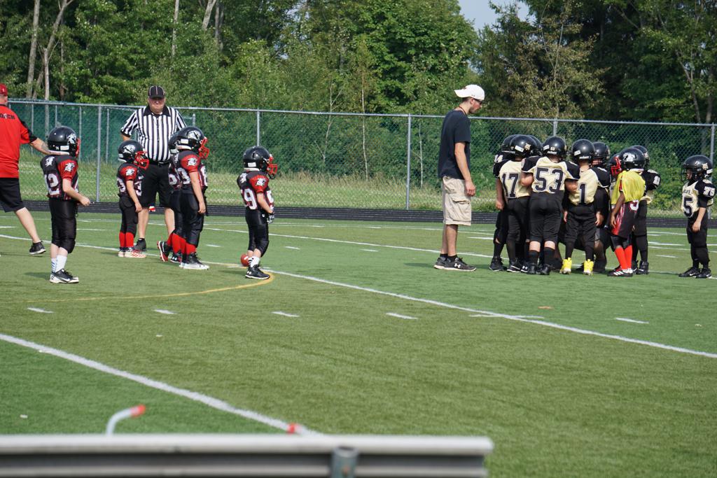 Delaware Football League