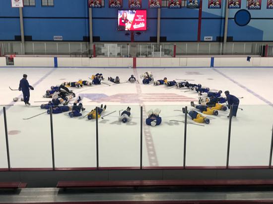 Warren Blue Devils Hockey