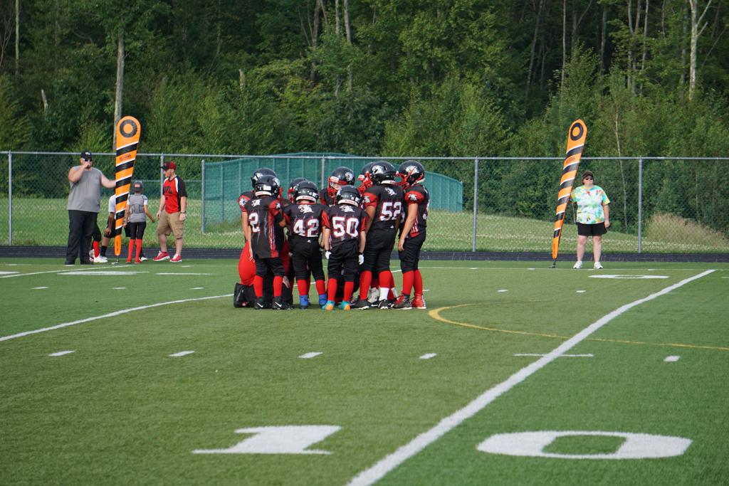 Delaware Football League