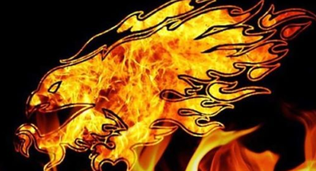 Scottsdale Youth Football - Firebirds