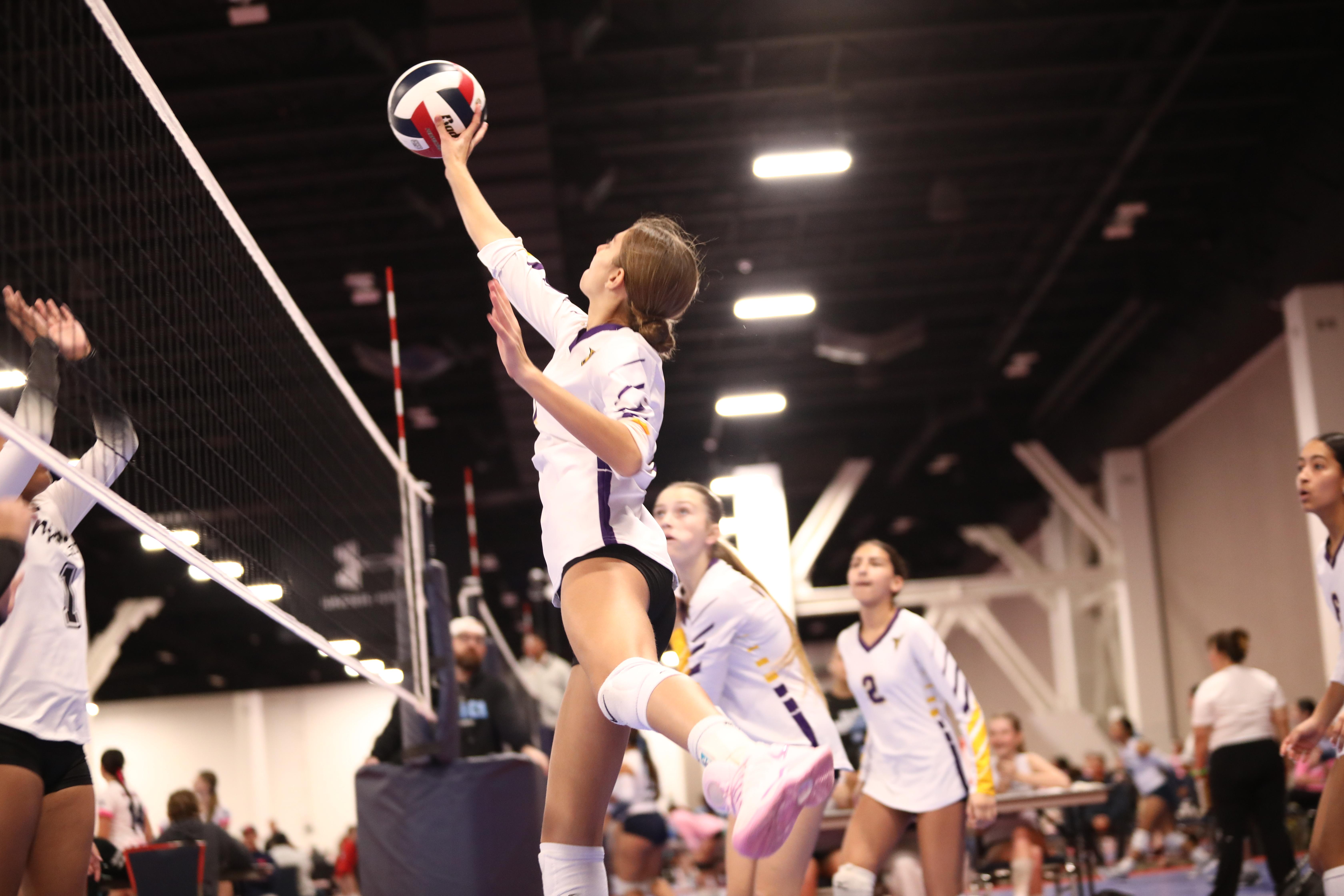 Vipers Volleyball Club