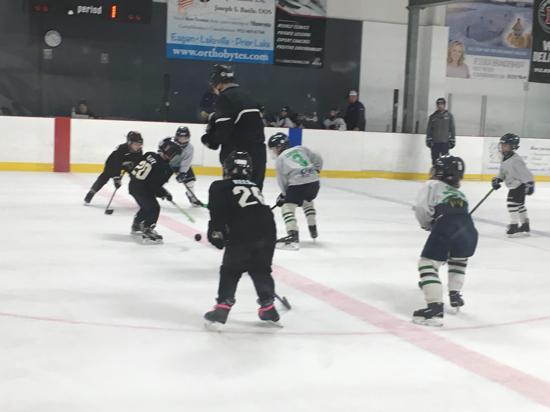 Rosemount Area Hockey Association