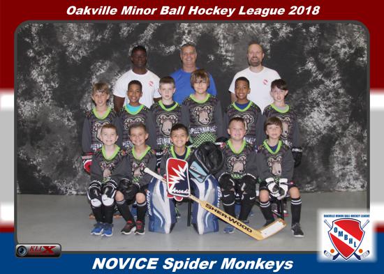 Oakville Minor Ball Hockey League