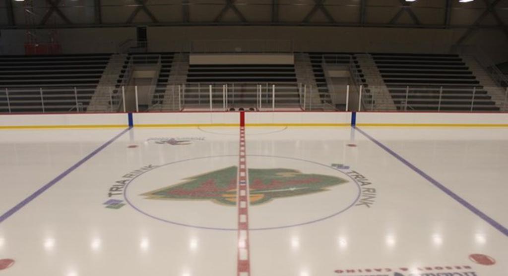 TRIA Rink at Treasure Island Center to host MSHSL girls’ hockey ...