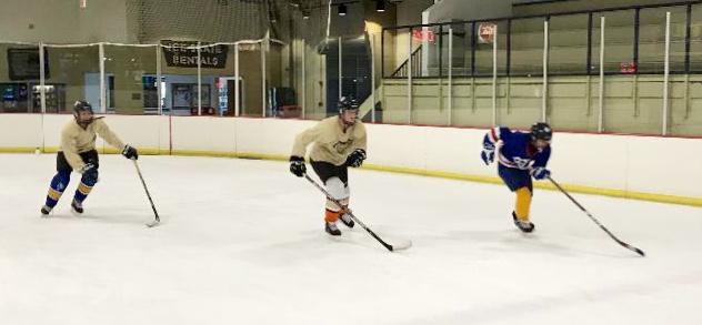 Warren Blue Devils Hockey