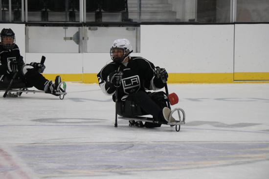 Sled Hockey Classic, Presented by the NHL