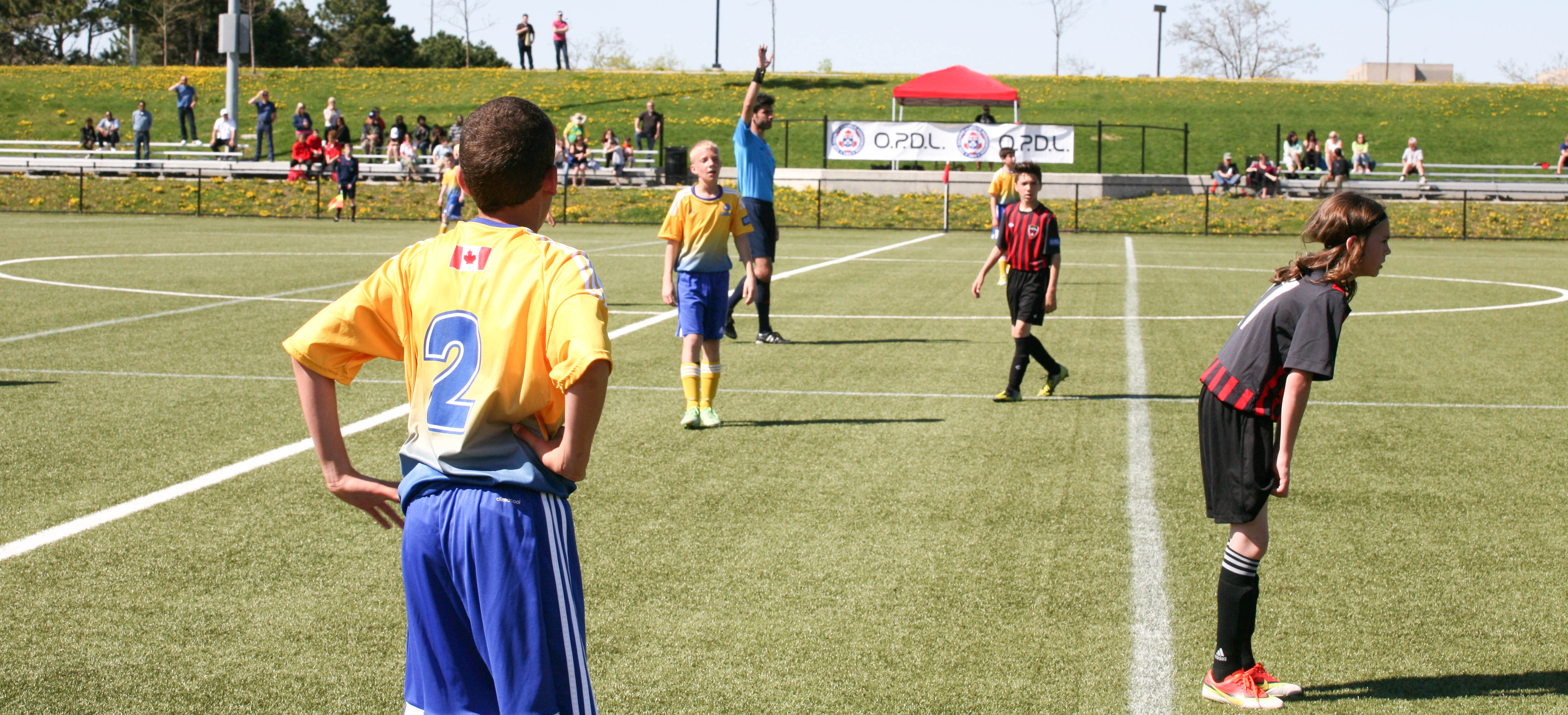 What You Need To Know About OPDL Trials